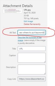 How To Use Keywords in Your Content for SEO