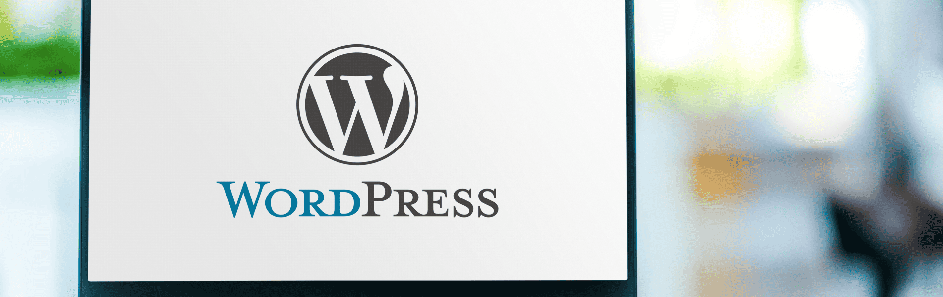 The 5 Best SEO-Friendly WordPress Themes for Free